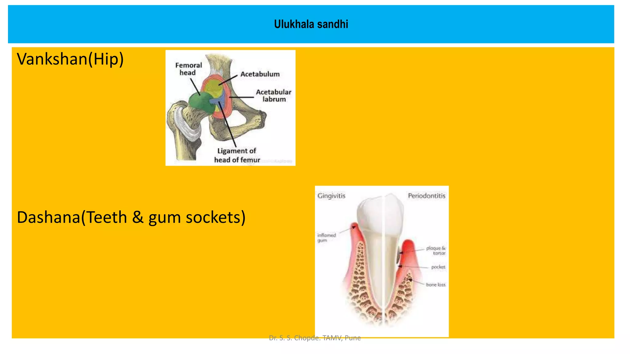 Ayurved Sandhi Prakar(Types of joints as per Ayurved) | PPTX