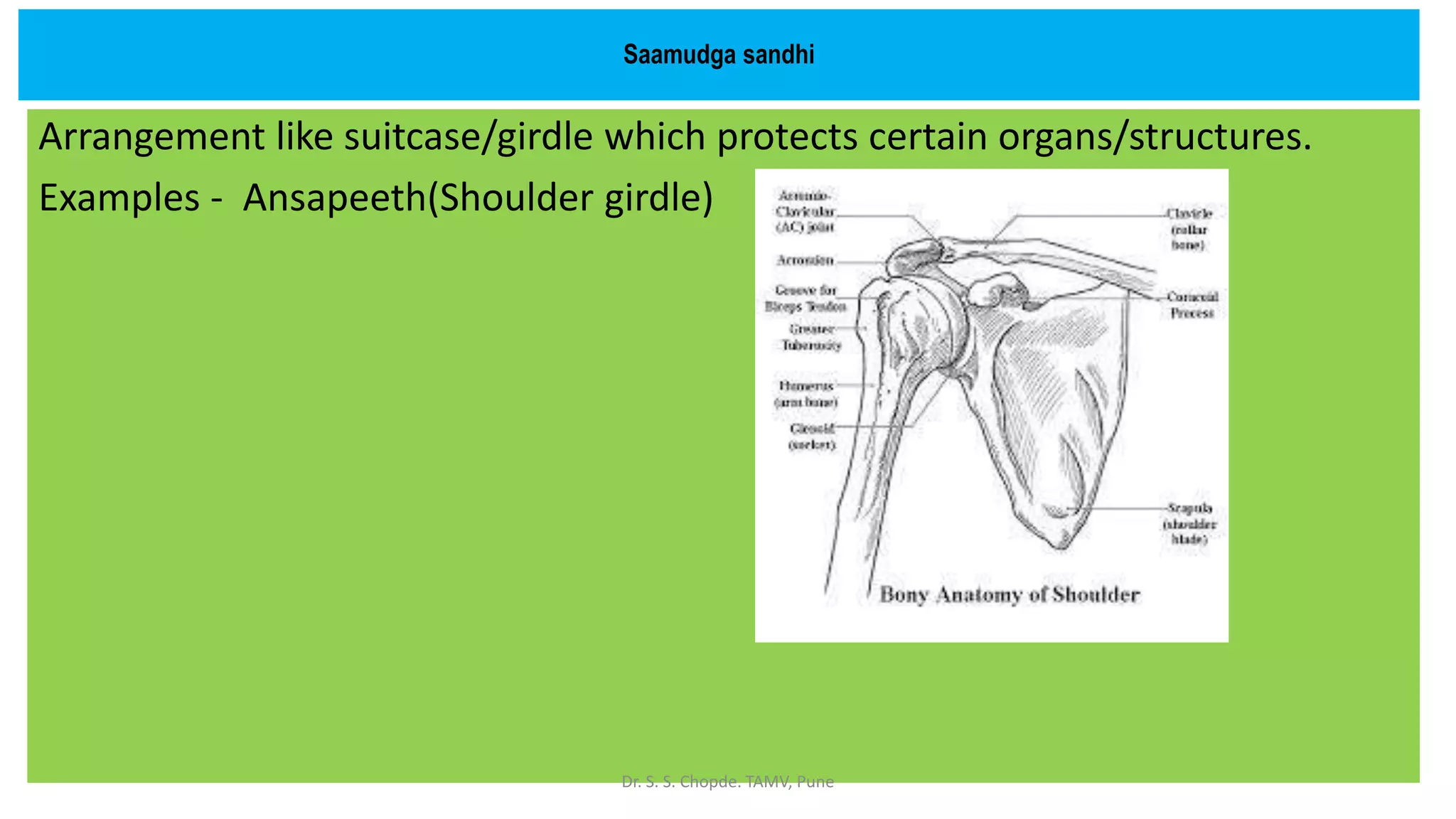 Ayurved Sandhi Prakar(Types of joints as per Ayurved) | PPTX