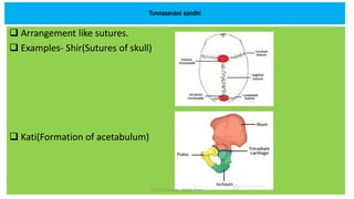 Ayurved Sandhi Prakar(Types of joints as per Ayurved) | PPTX