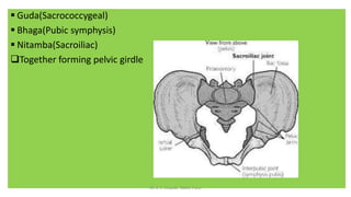 Ayurved Sandhi Prakar(Types of joints as per Ayurved) | PPTX