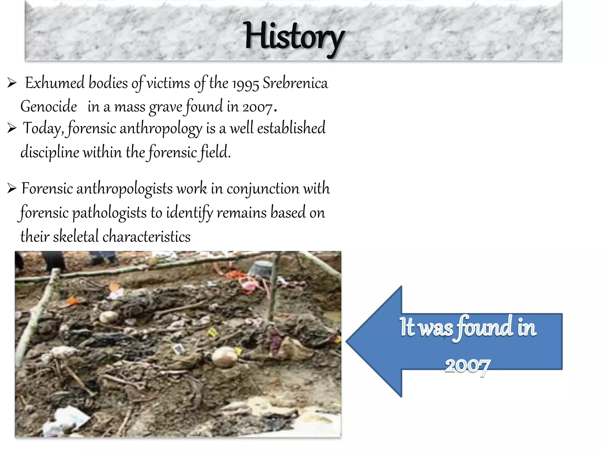 forensic anthropology | PPTX