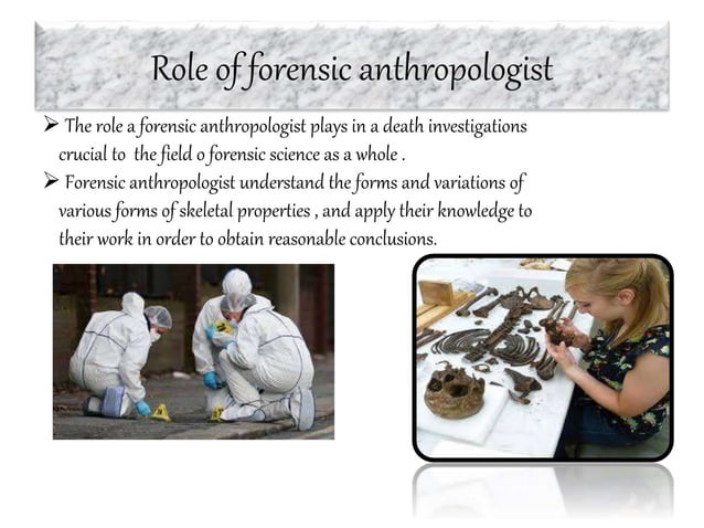 forensic anthropology | PPTX | Geology | Science