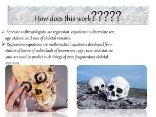 forensic anthropology | PPTX