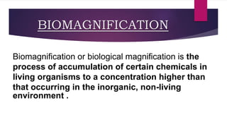 Ayush biomagnification | PPTX