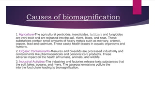 Ayush biomagnification | PPTX