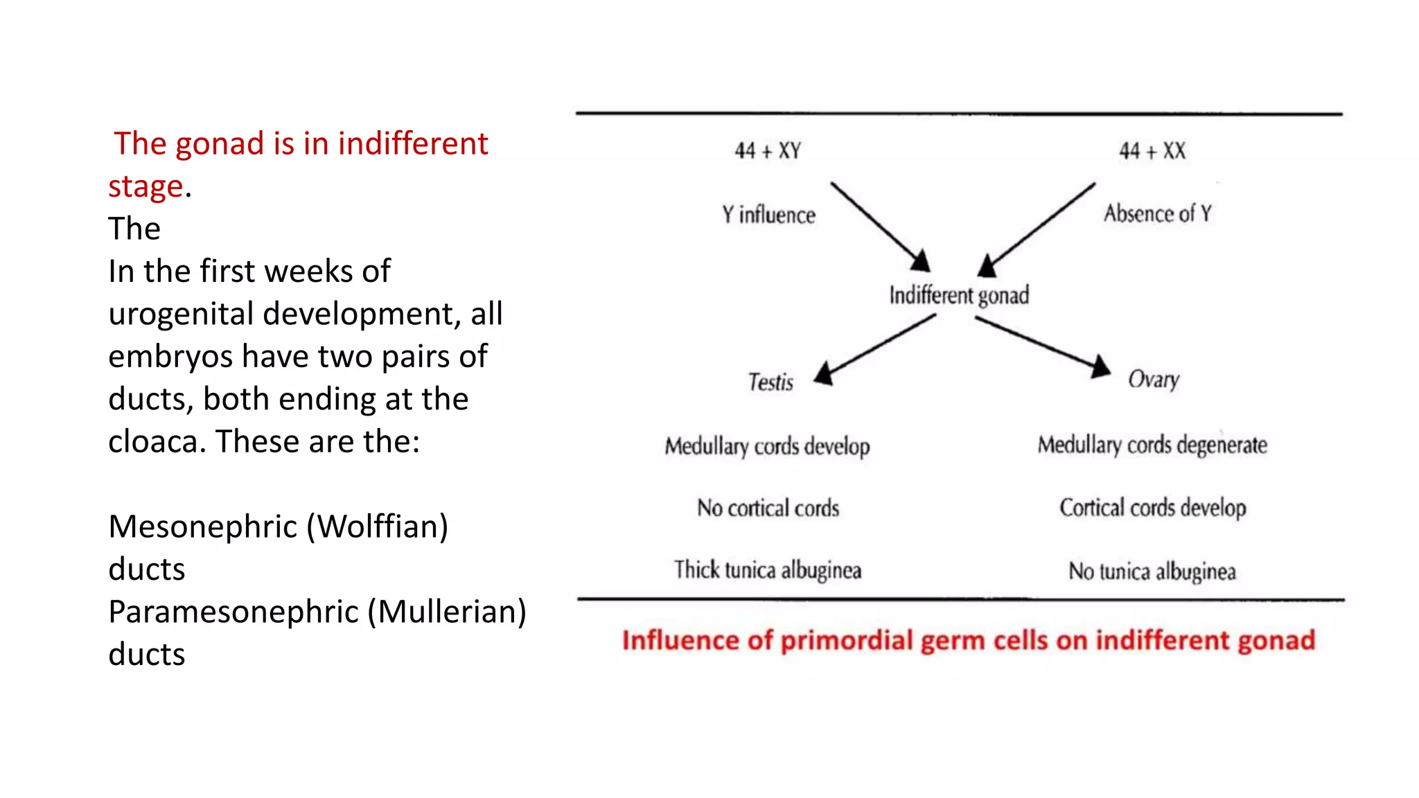 Genito urinary system -clinical | PPTX