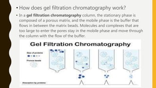 Molecular weight determination and Characterization of Enzymes | PPTX