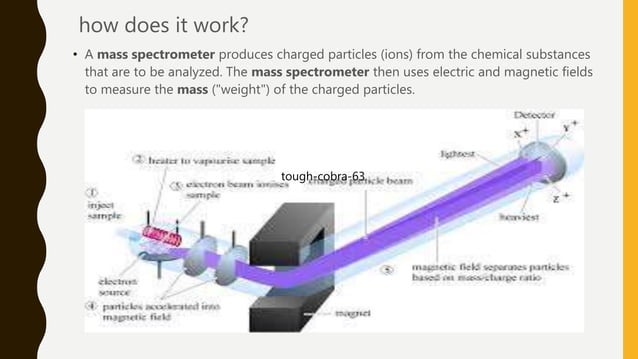 Molecular weight determination and Characterization of Enzymes | PPTX | Chemistry | Science
