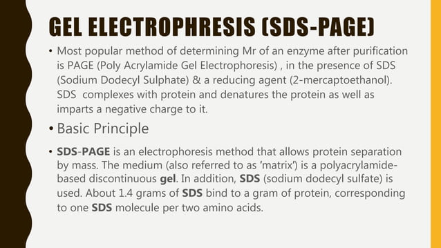 Molecular weight determination and Characterization of Enzymes | PPTX | Chemistry | Science