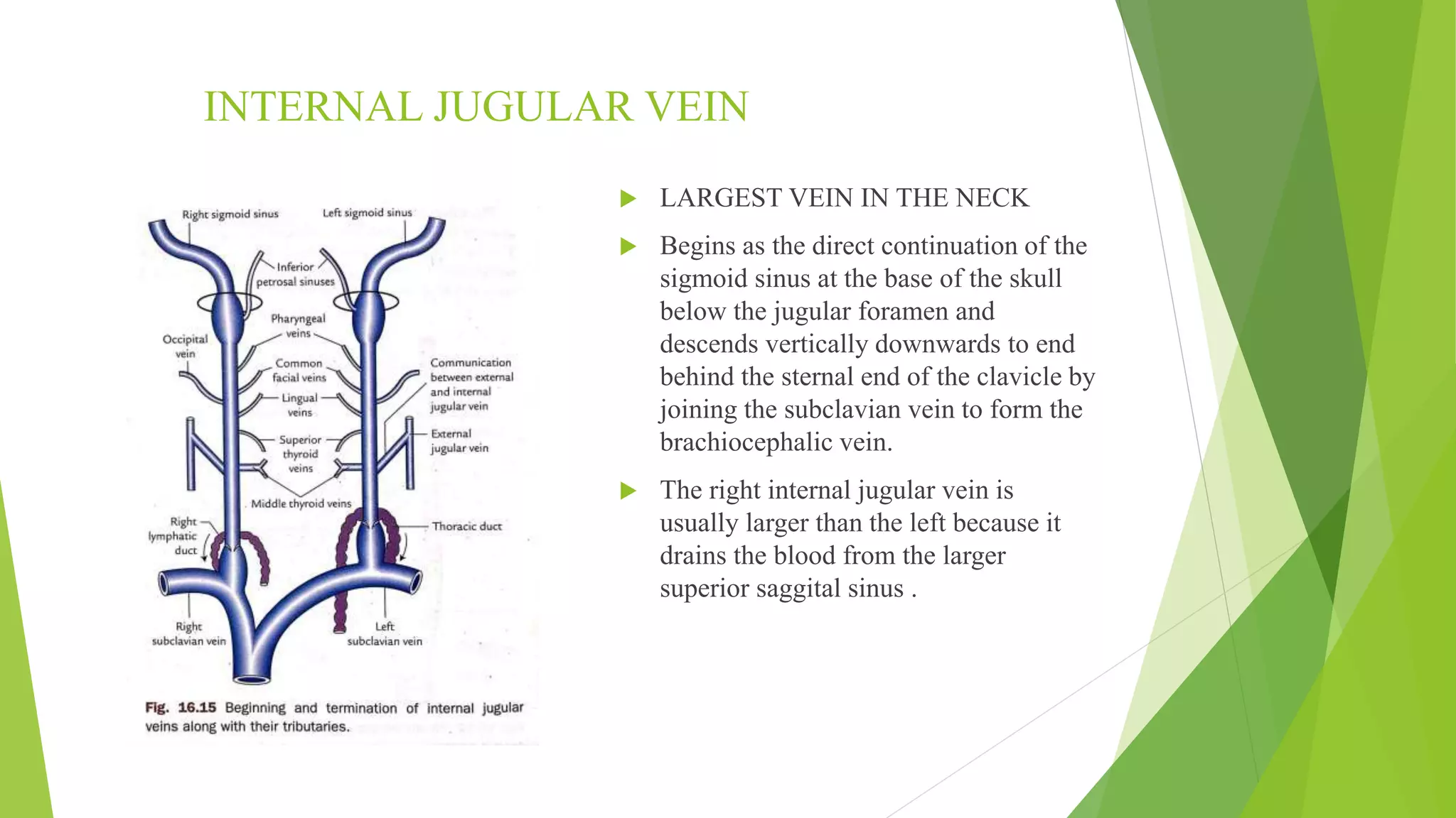 Blood supply of head & neck and periodontal tissues | PPT