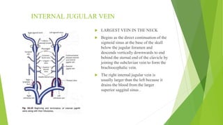 Blood supply of head & neck and periodontal tissues | PPTX