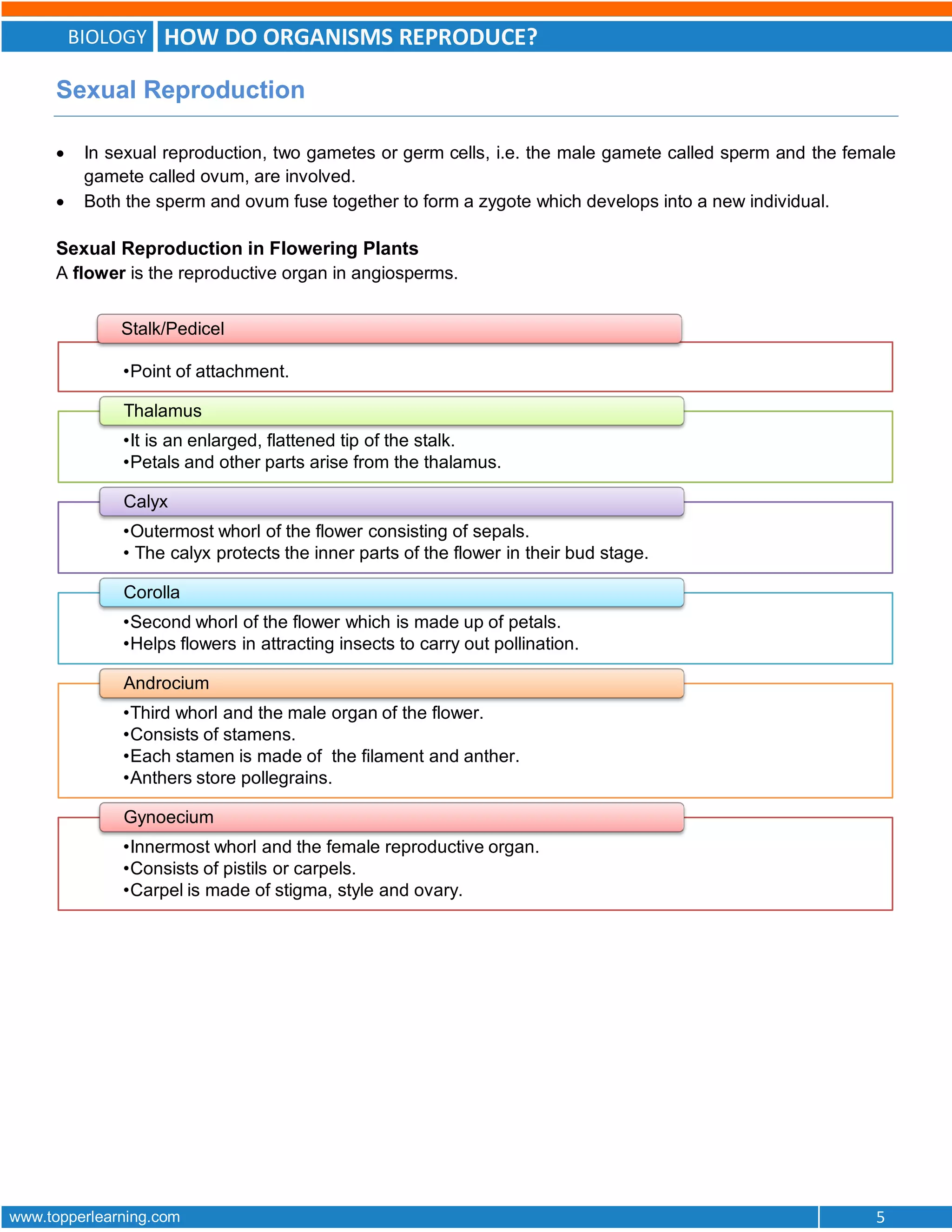 ayush patel science reproduction notes.pdf