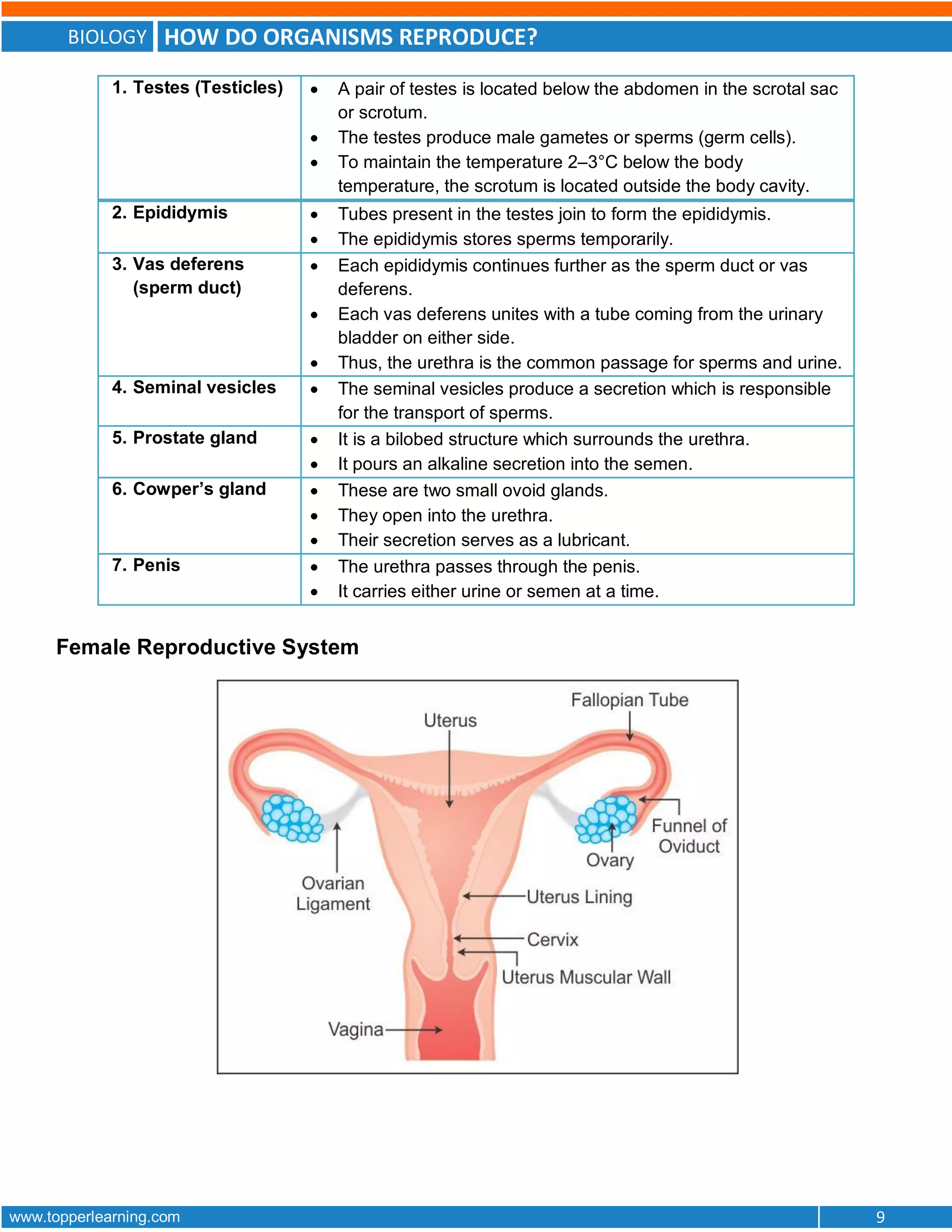 ayush patel science reproduction notes.pdf