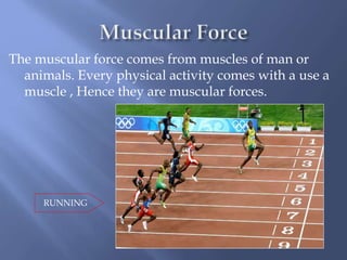 Forces | PPT | Free Download