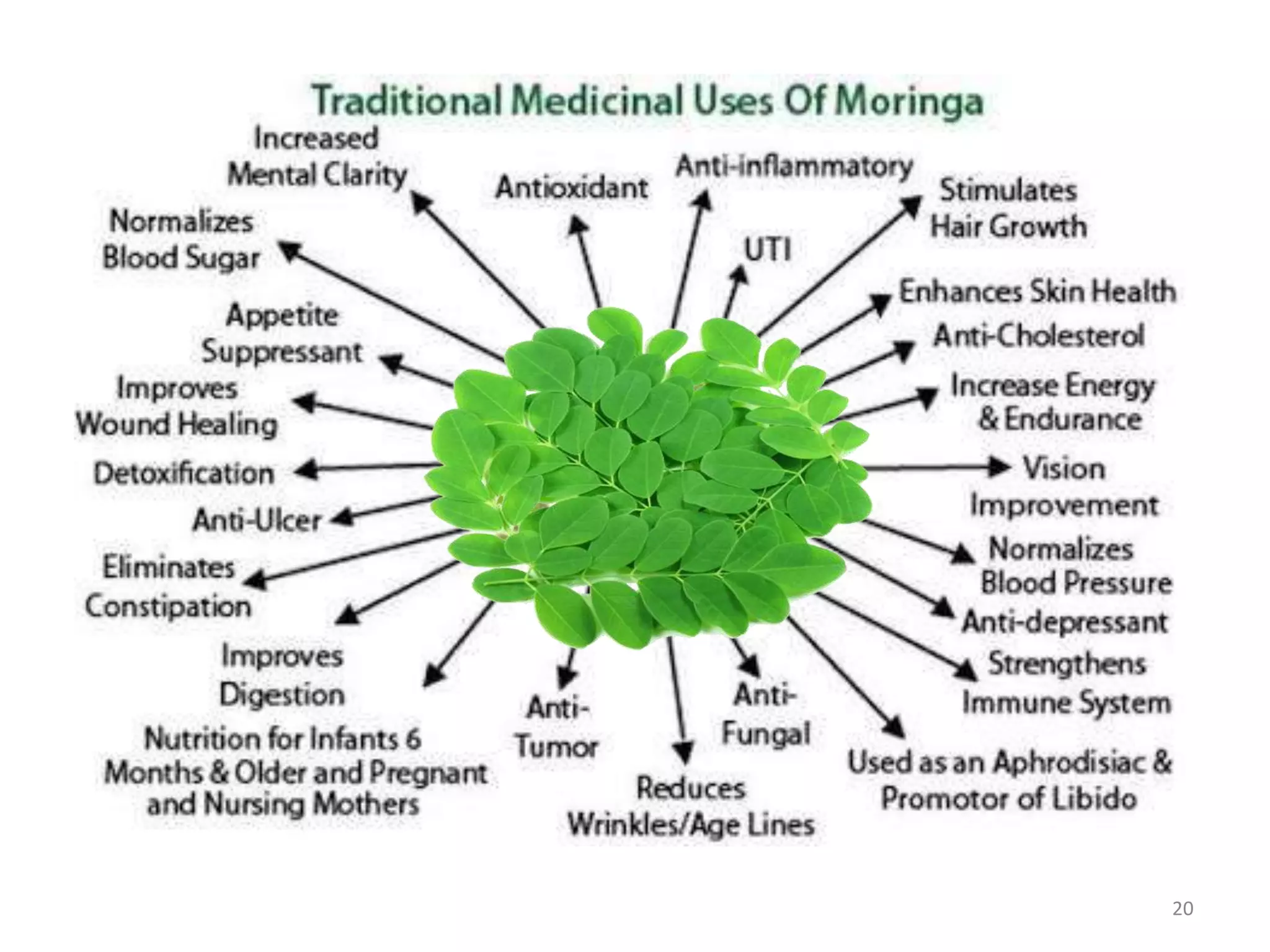 moringa-the miracle tree | PPTX