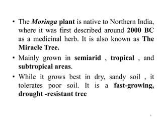 moringa-the miracle tree | PPTX