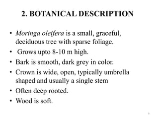 moringa-the miracle tree | PPTX