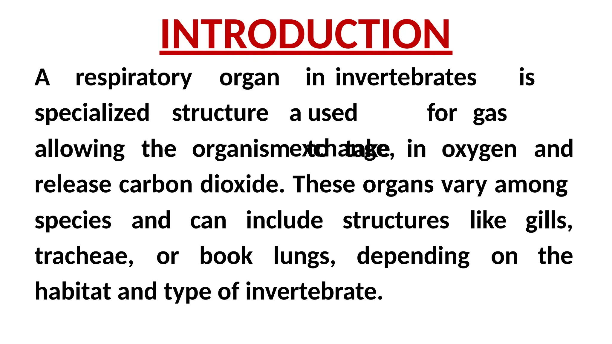 Organs of respiration in invertebrates.pptx