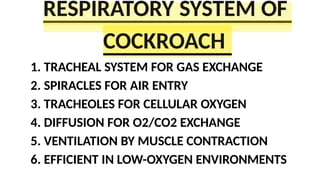 Organs of respiration in invertebrates.pptx