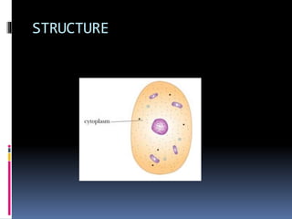 PARTS OF CELL | PPT