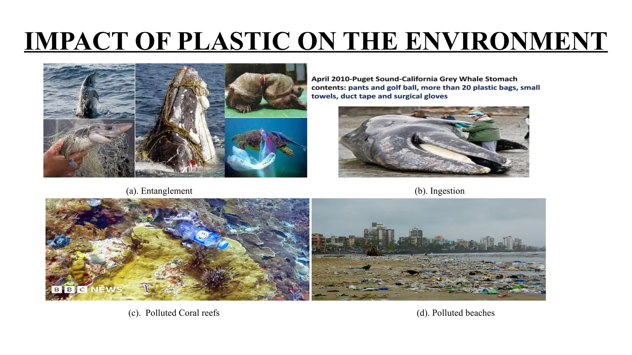 IMPACTS OF PLASTIC WASTE ON THE MARINE AND FOREST ENVIRONMENT | PPTX