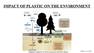 IMPACTS OF PLASTIC WASTE ON THE MARINE AND FOREST ENVIRONMENT | PPTX