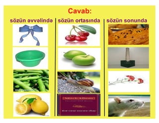 L səsi və hərfi | PDF