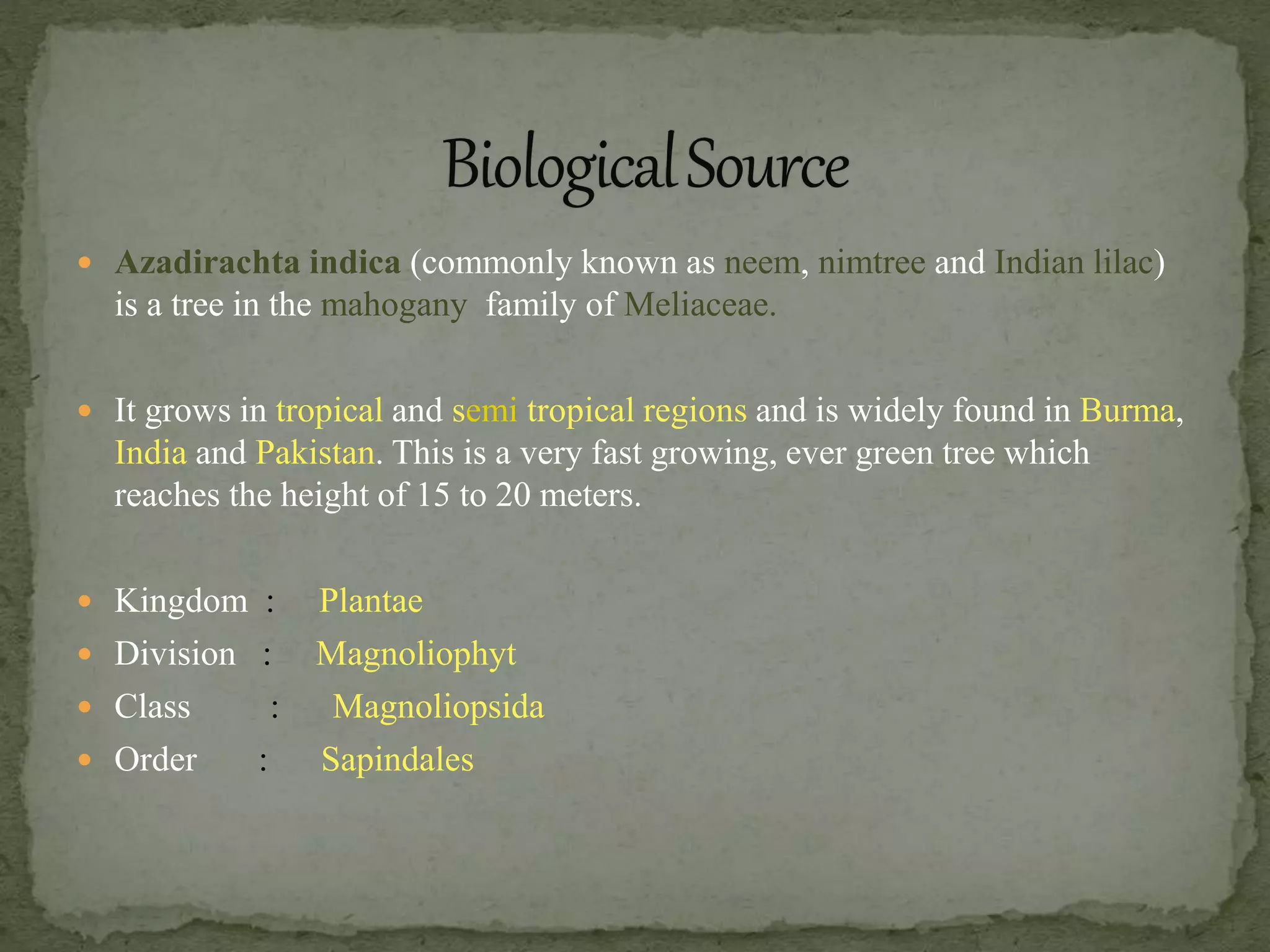 Azadirachta indica (neem) | PPTX