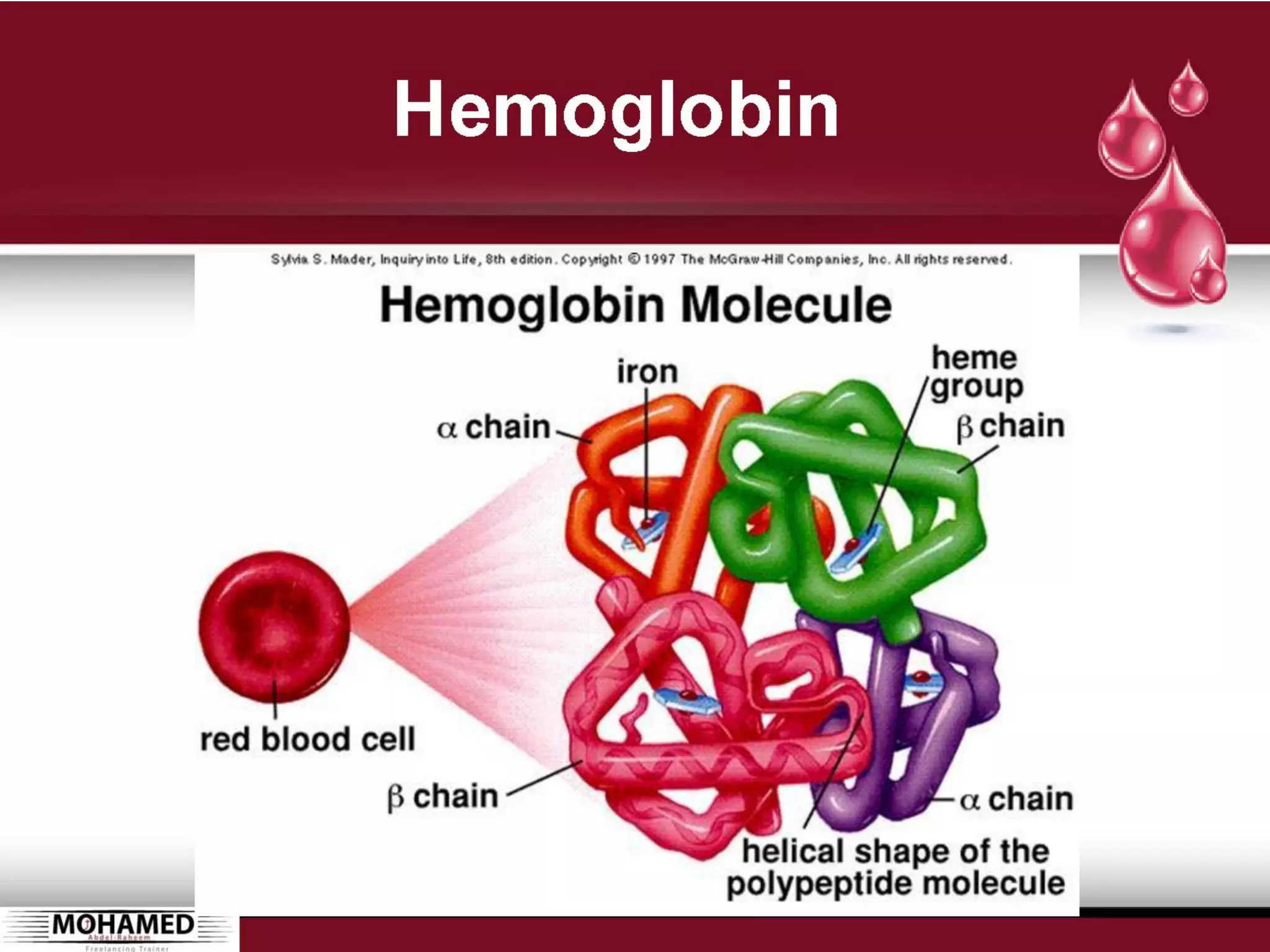 Azaf handout | PPT | Free Download