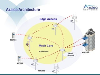 Azalea Overview Nov08 | PPT
