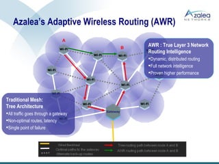 Azalea Overview Nov08 | PPT