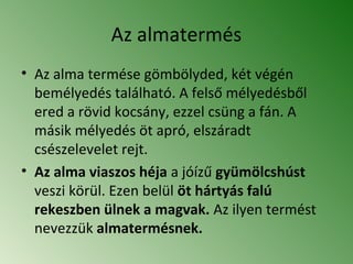 Az almafa | PPT