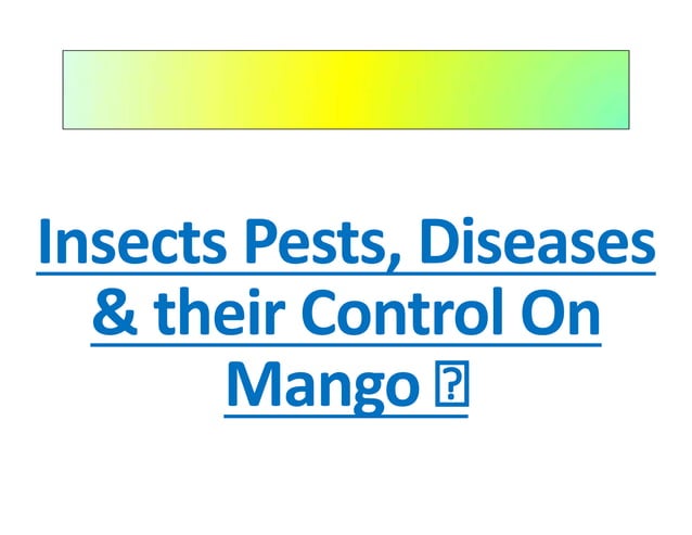 Azan -06 Mango Insect pests and diseases .pptx