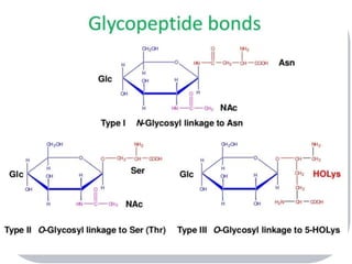 Complex proteins | PPTX
