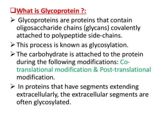 Complex proteins | PPT