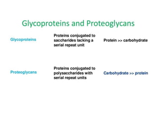 Complex proteins | PPT