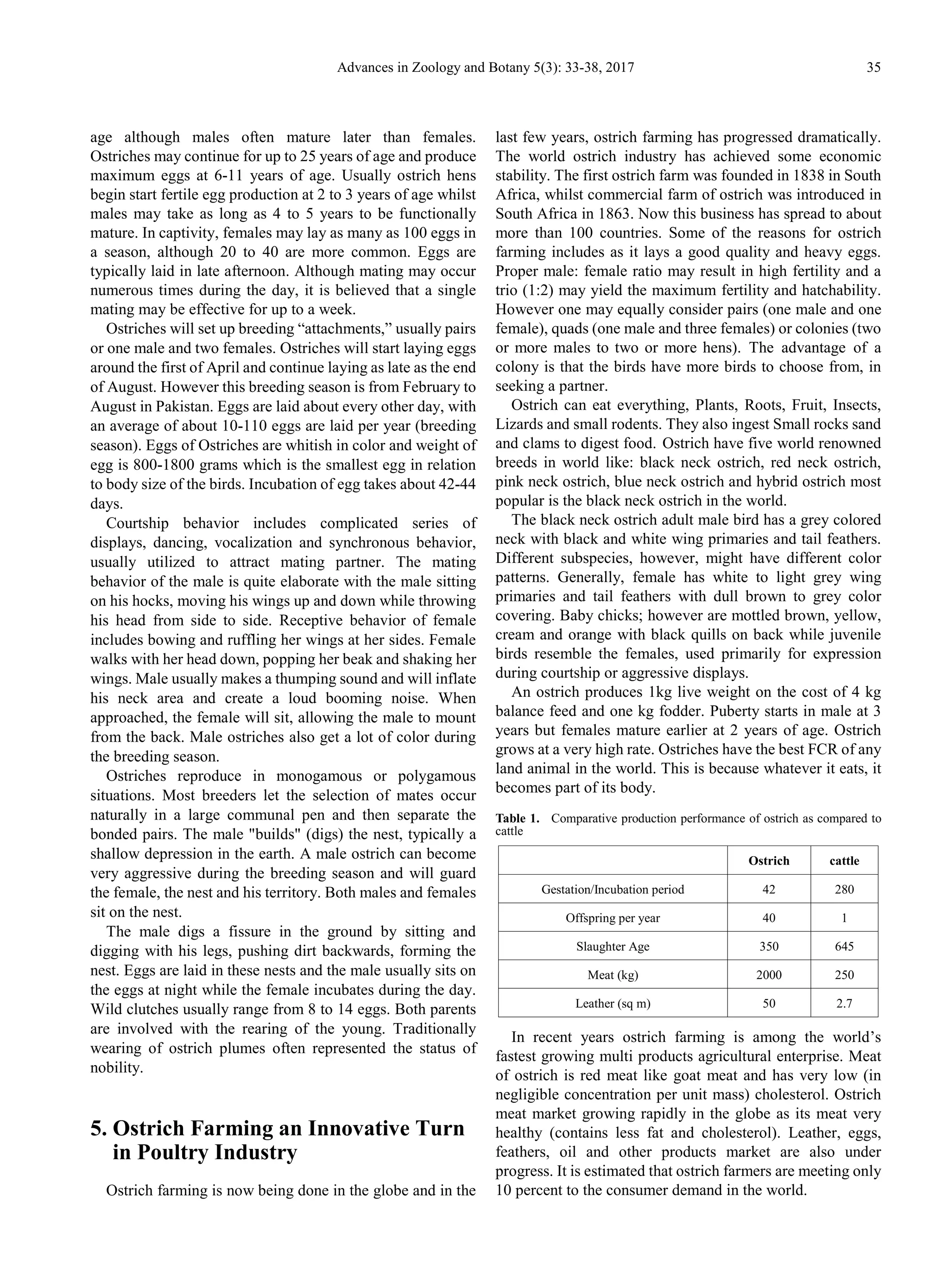 Ostrich production in Pakistan | PDF