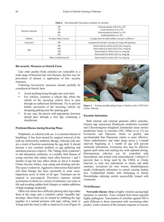 Future of ostrich farming in Pakistan | PDF