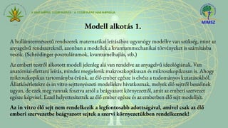 Az endokannabinoid rendszer hullámtermészetű leírása | PPT