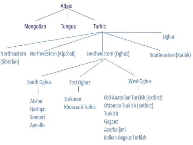 Azerbaijani as one of the altaic languages