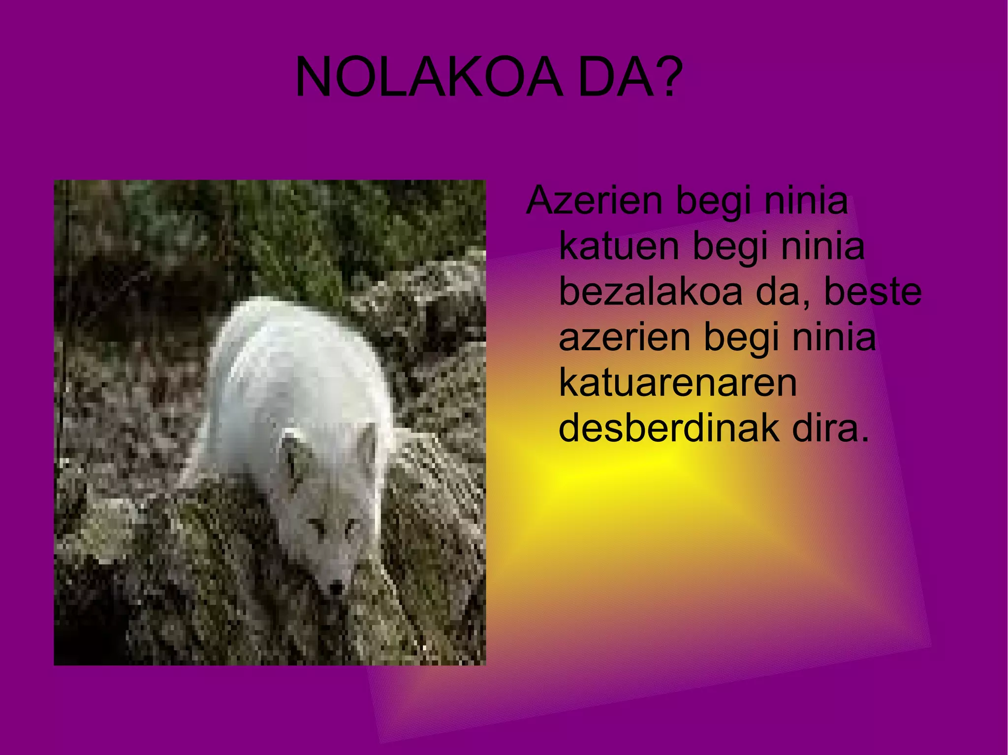 Azeria | PPT