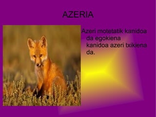 Azeria | ODP
