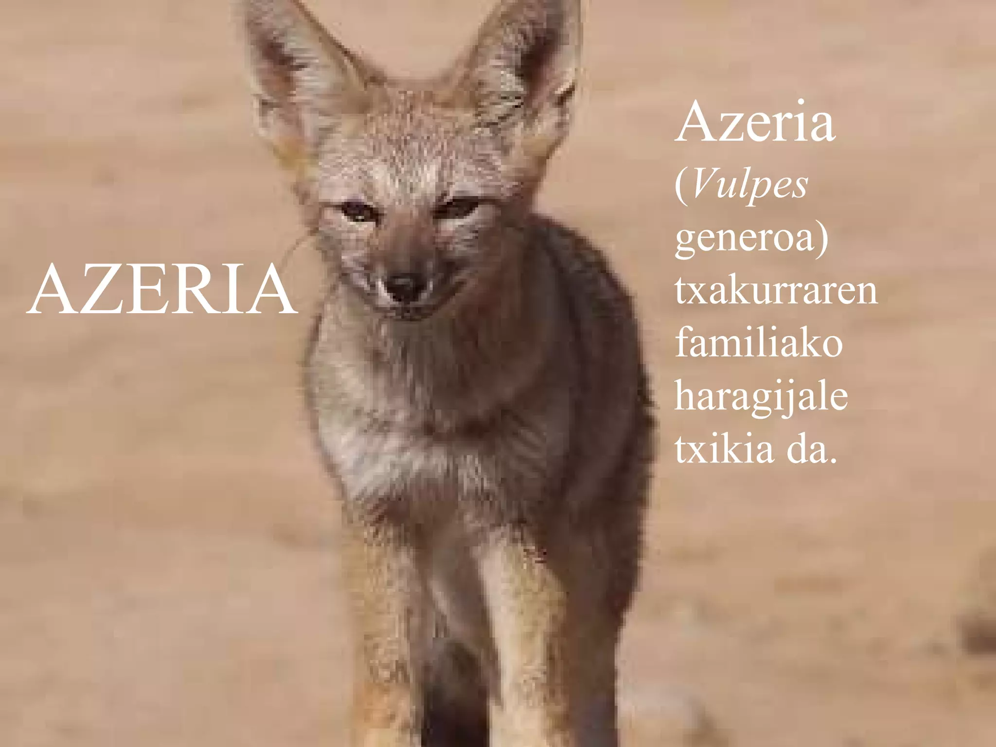 Azeria | PPT