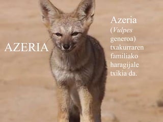 Azeria | PPT