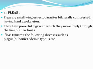 Rodents and arthropods in community health nursing | PPTX