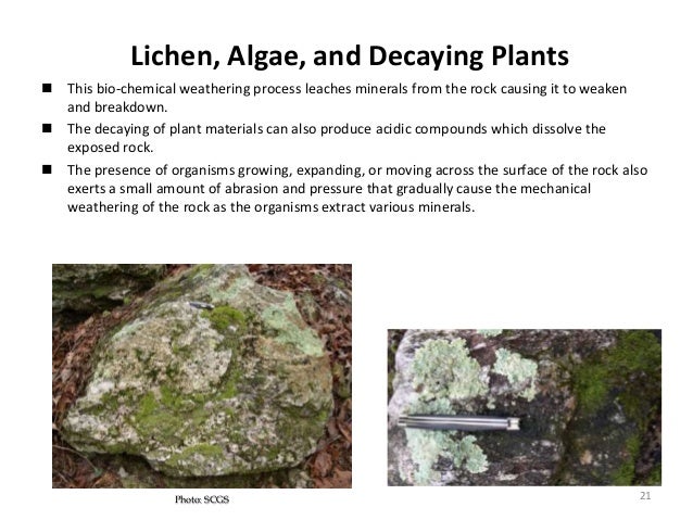 Differential Weathering Limestone