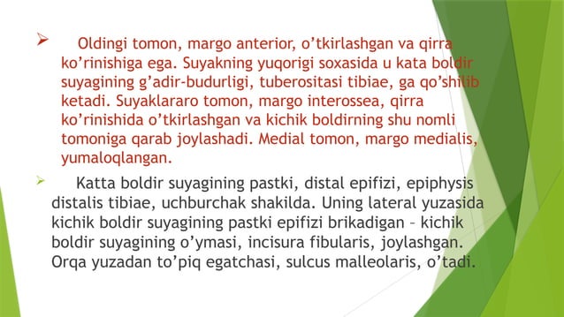 azimjon.pptx anatomoya anatomiya chanoq suyagi suyak | PPT