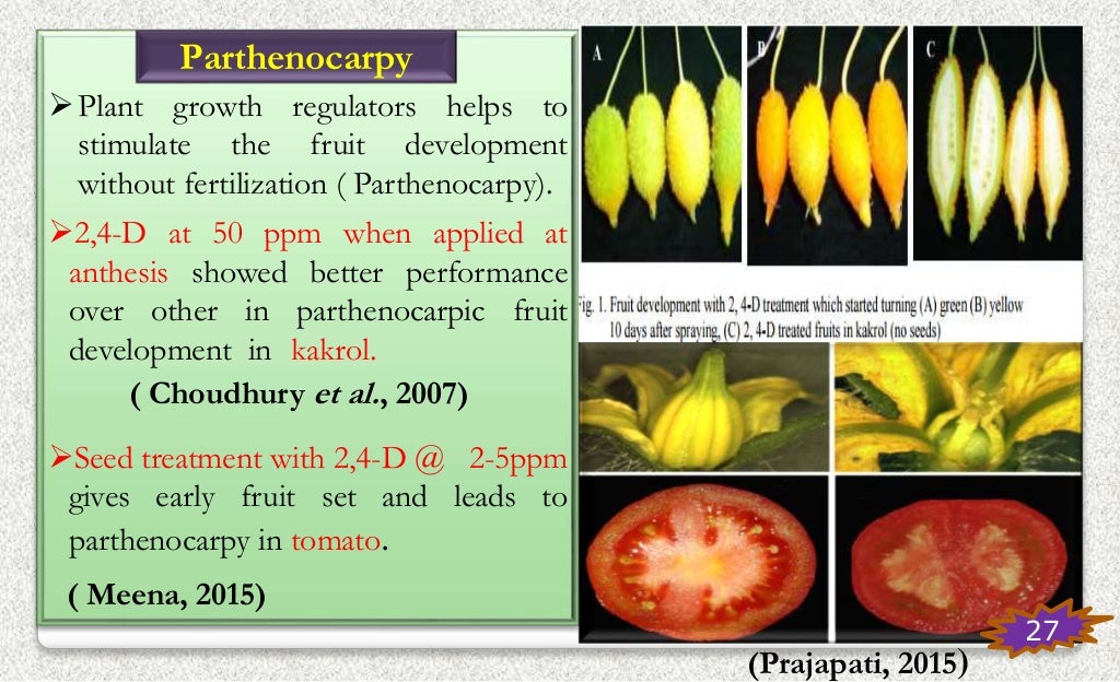 Types Of Growth Regulators - Design Talk