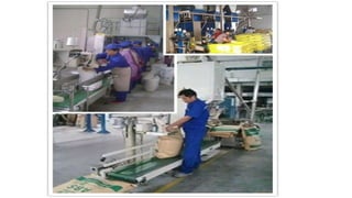 presentation , Sugar Mill | PPTX