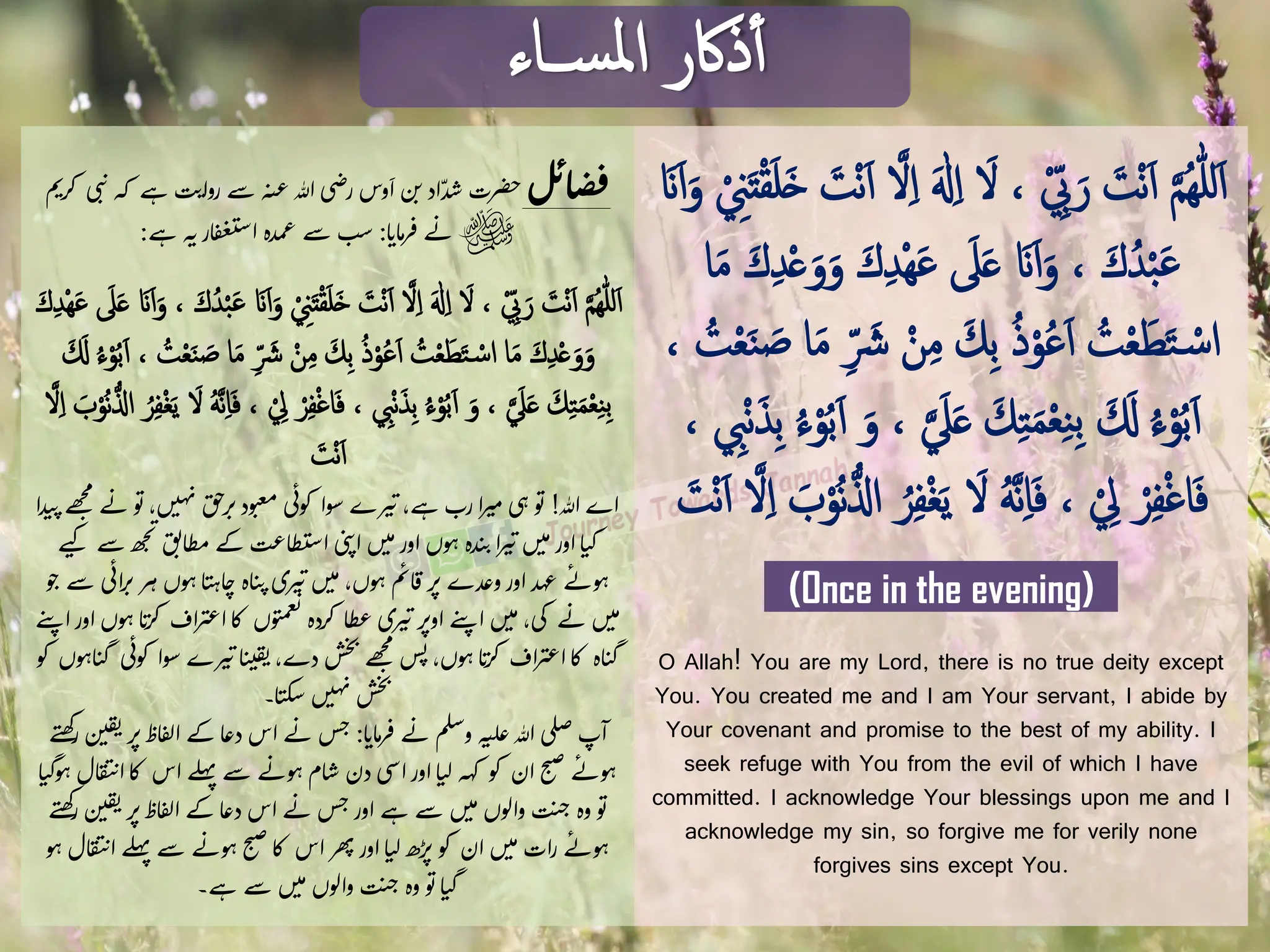 azkar al masaa - Azkaar for the evening by every Muslim | PDF